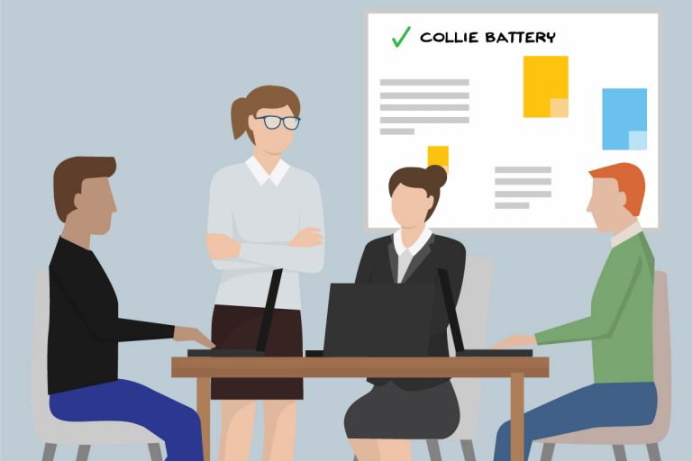Our Battery – Collie Battery