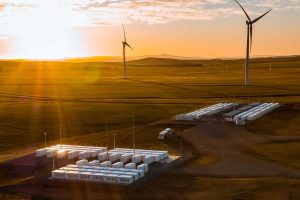 Our Battery - Collie Battery